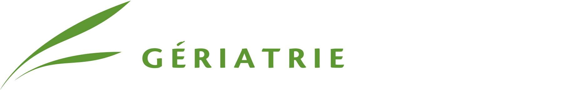 Care institution - Fondation Institut de gériatrie de Montréal